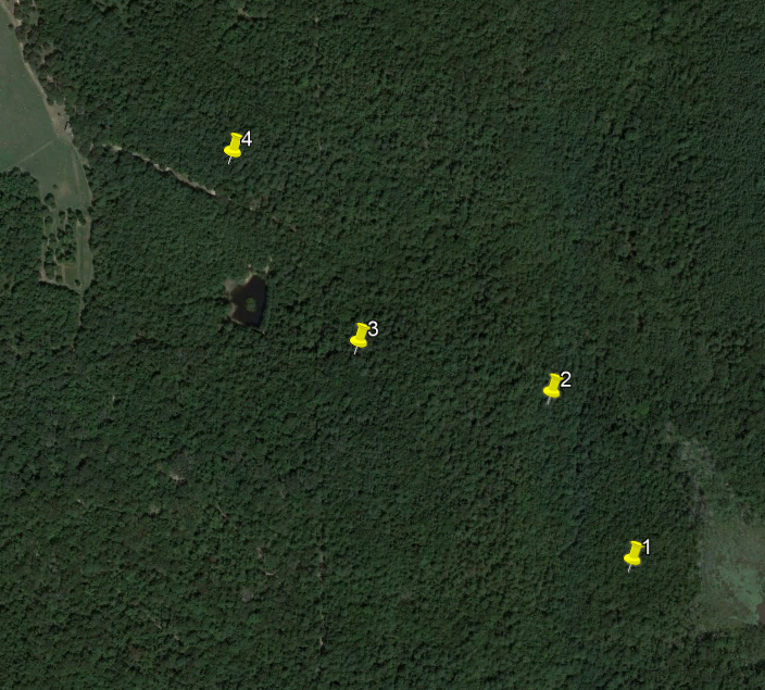 How to Plan Corridor Without Visual Landmarks